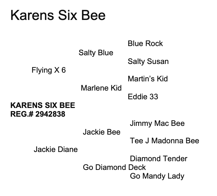 Karens Six Bee – Hunter Quarter Horses